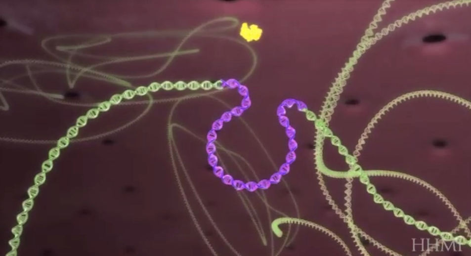 Data Sonification Archive