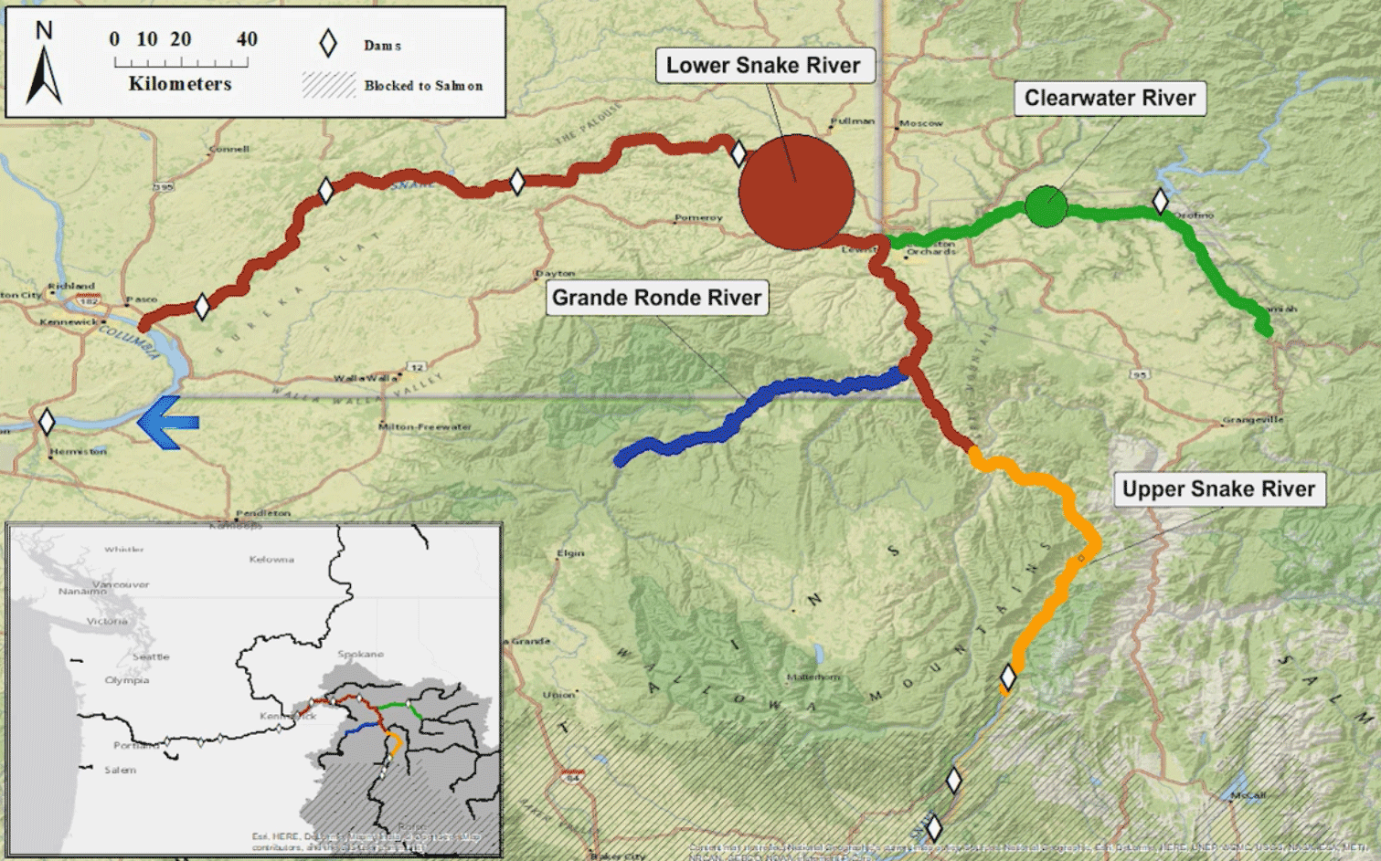 Data Sonification Archive